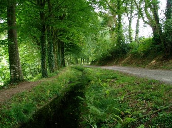 Vendredi 5 juin : Mûr-de-Bretagne (Côtes d'Armor) à Dinard (Ille-et ...