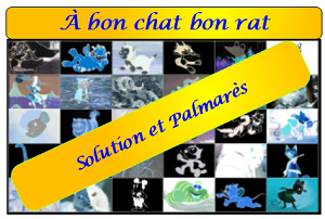 "A bon chat bon rat" : La solution, le palmarès… - Site internet de la ...